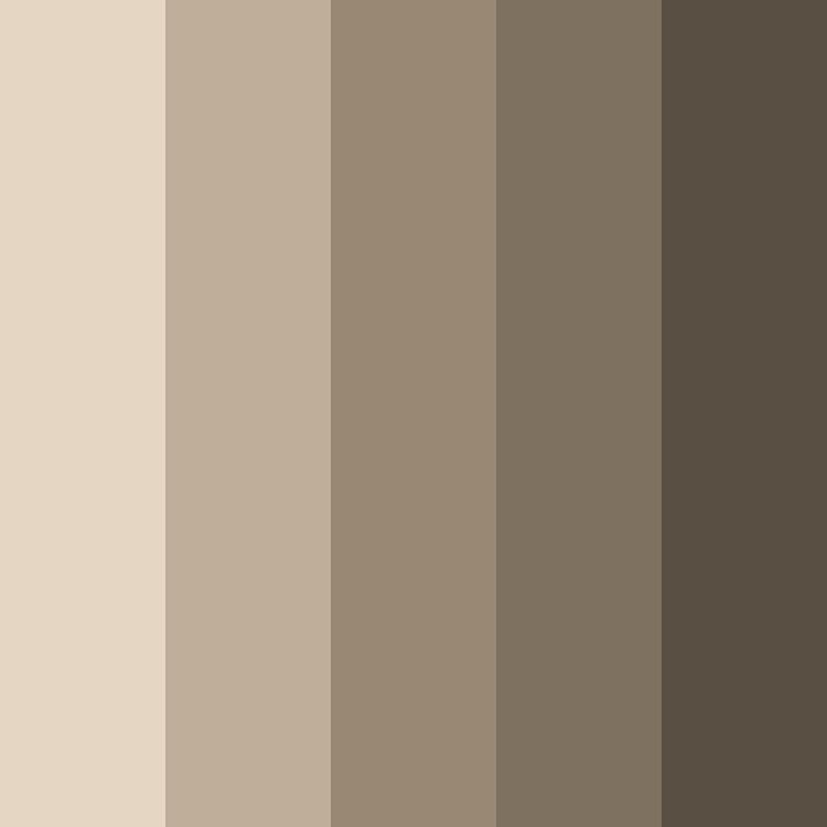 5 color eyeshadow palette